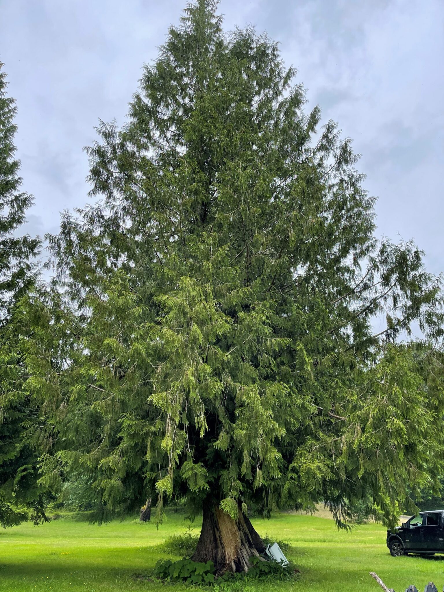 Down On The Farm | Fine-Whatever